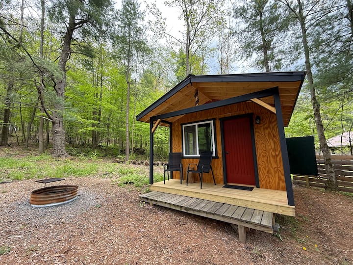 Pinewood Cabin - Finger Lakes