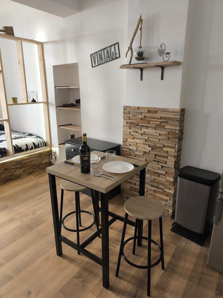 Sublime Studio Vieille Ville - Annecy-le-Vieux