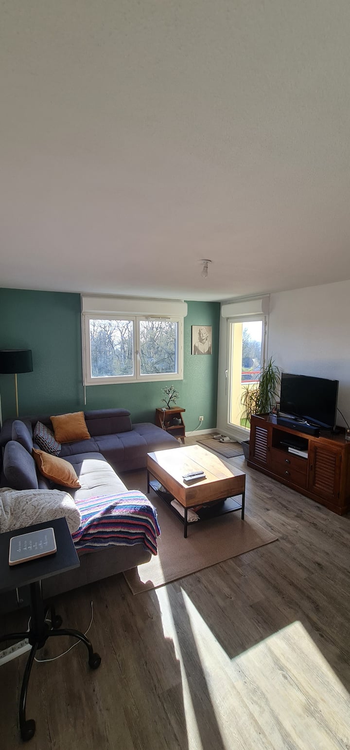 Joli Duplex Au Calme Avec Balcon - Le Mans