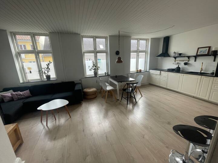 Lejlighed I Hjertet Af Odense - Odense