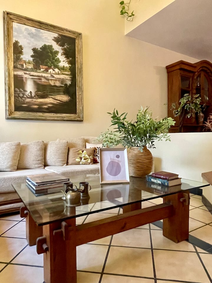 Amplia Y Encantadora Casa Zona Norte - Aguascalientes