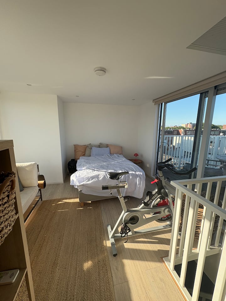 Duplex Loft Right In The Center - Amsterdam