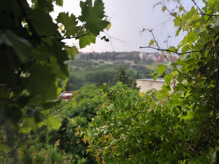 Nature Meets City – Cozy House - Tazaa