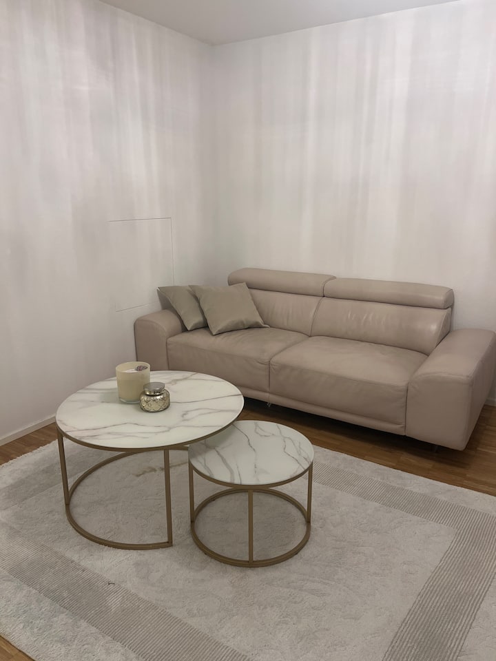 Moderne Neu Sanierte Wohnung - Opfikon