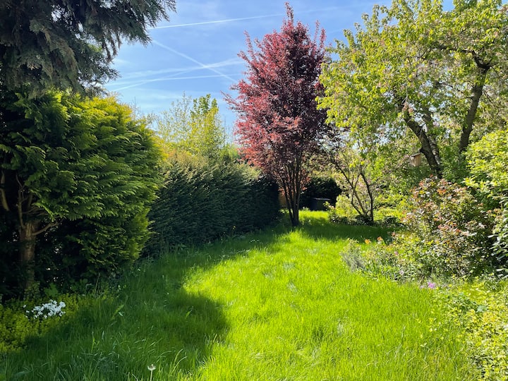 Ganzes Haus Mit Garten – Exklusiv Für Ihre Gruppe - Leipzig