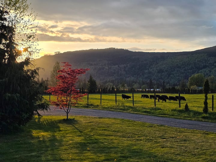 The Joy Of The Mountain - Cultus Lake