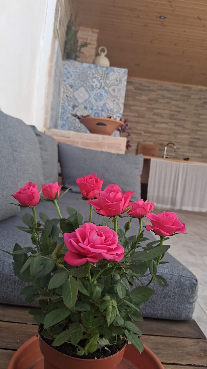 El Chorro, Castalla. - Ibi