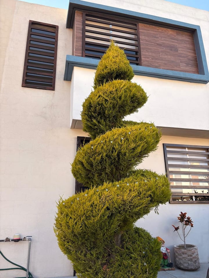 Pine House- Casa - Ojo de Agua