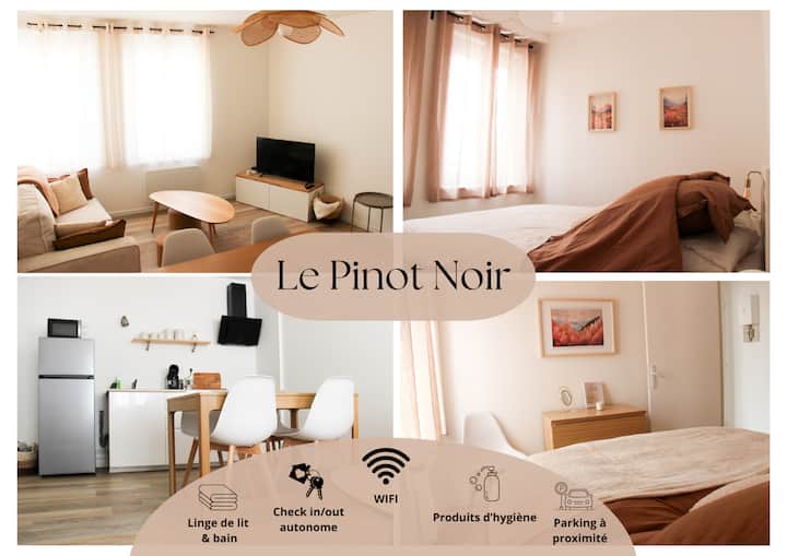 Le Pinot Noir - Séjour Cosy Au Coeur D'aÿ - Ay