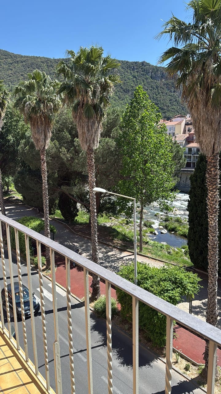 Grand T3 Familial Balcon Wifi - Amélie-les-Bains-Palalda