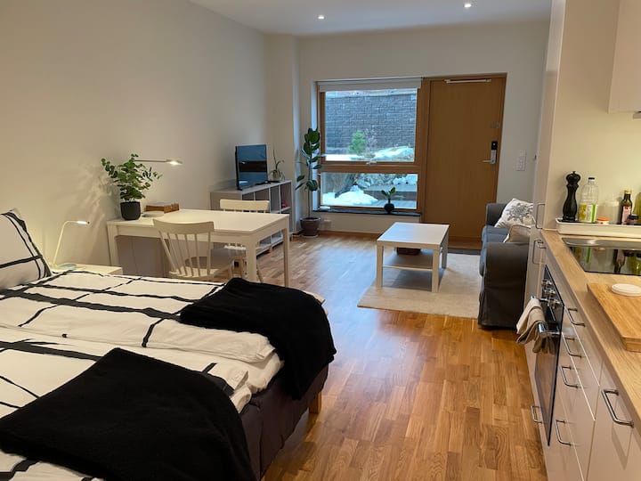 Central, Calme, Patio +Parking Gratuit - Stockholm