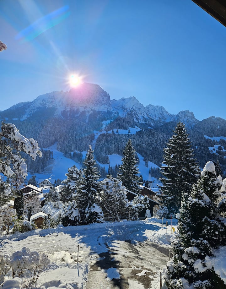 Emplacement Idéal à Rougemont ! - Gstaad