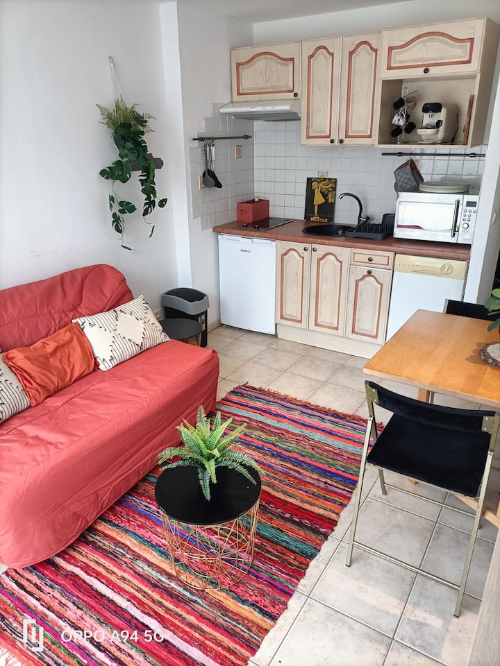 Appartement Accès Extérieur - Besse en Chandesse
