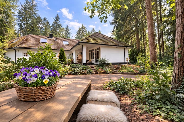 De Koningslodge – Jouw Privé Paleisje Op De Veluwe - Apeldoorn