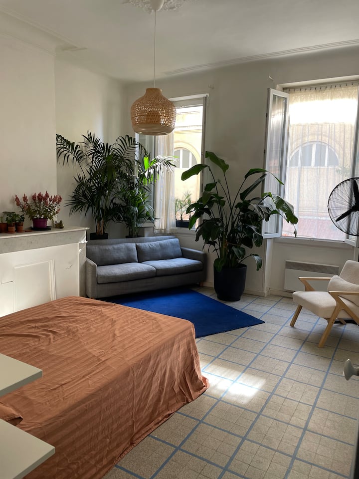 Vaste Chambre 25 M*2 Sur Cours Au Calme - Marsella, Francia