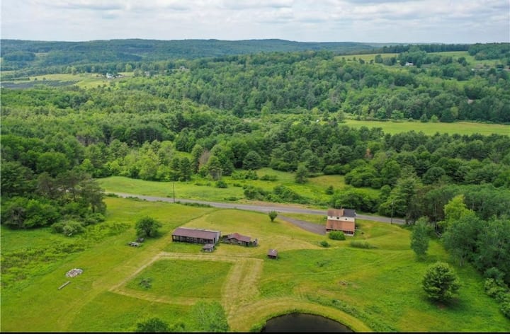 Tranquility In Catskills-afton, New York! - Animal Adventure Park, Harpursville