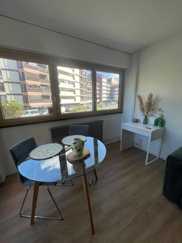 Studio En Plein Centre ! - Évian-les-Bains