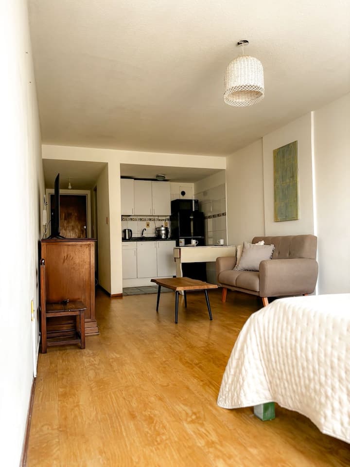 Mono A Pasos De La Rambla - Montevideo