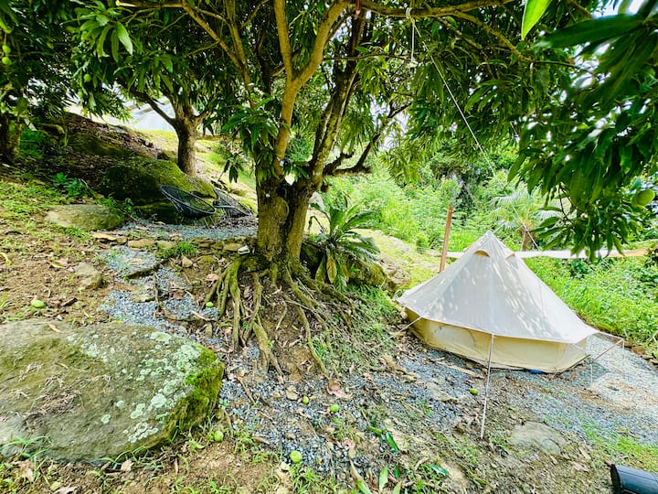 Mini Mango Glamping - Saint Thomas