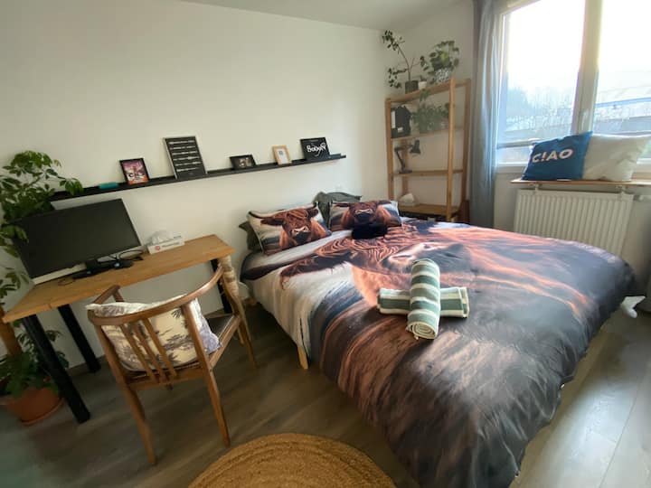 Chambre Dans Appartement Proche Commodités - Sallanches