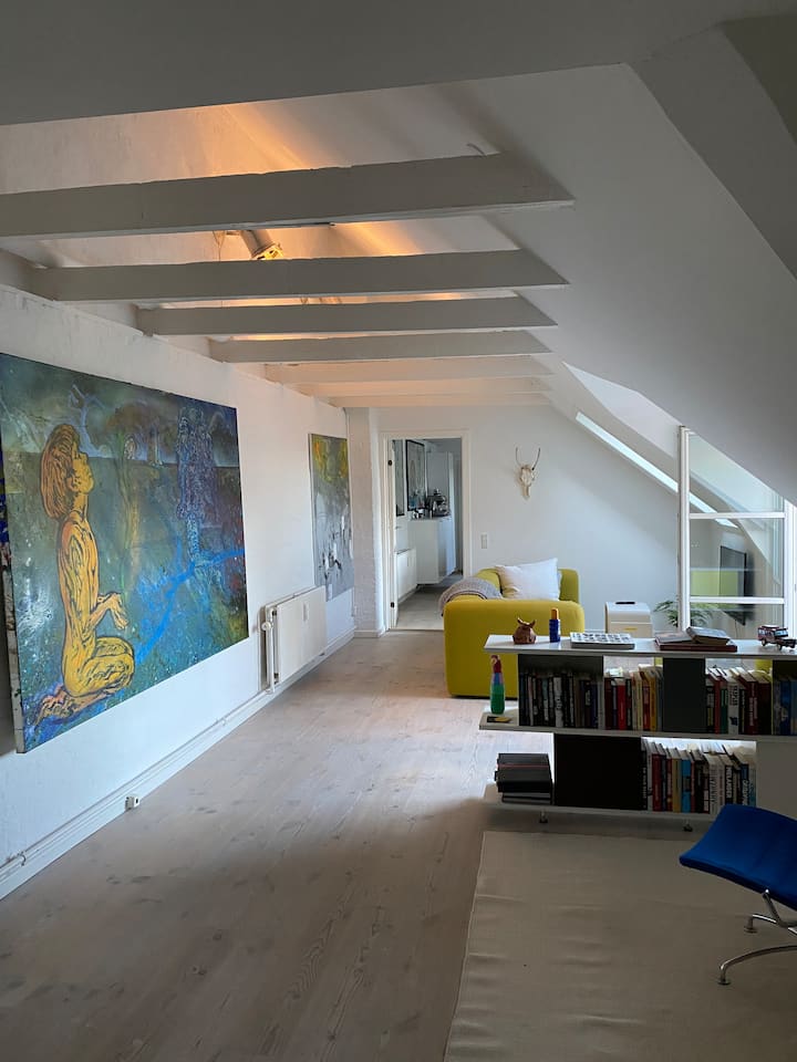 150 M2 Penthouse. - Aarhus