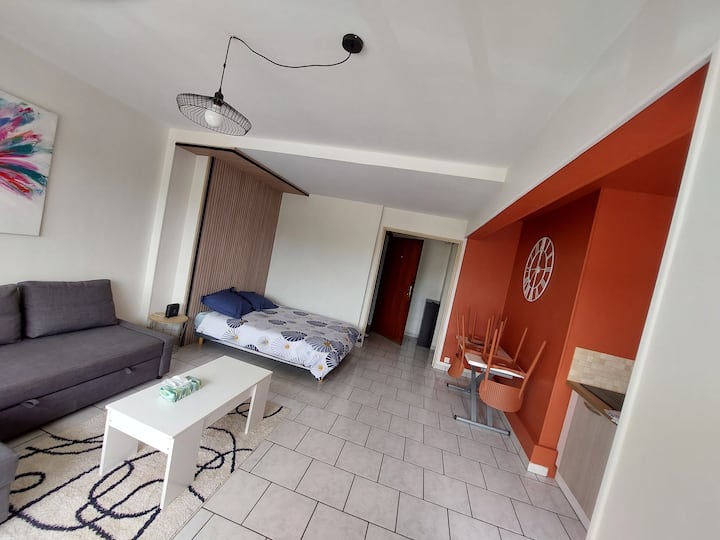 Studio Idéalement Situé - Sens