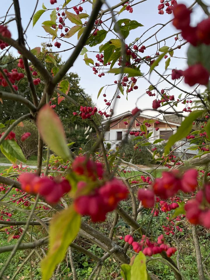 Botanik Etxea Casa Con Jardin A 15 Min De Bilbao - Bilbao