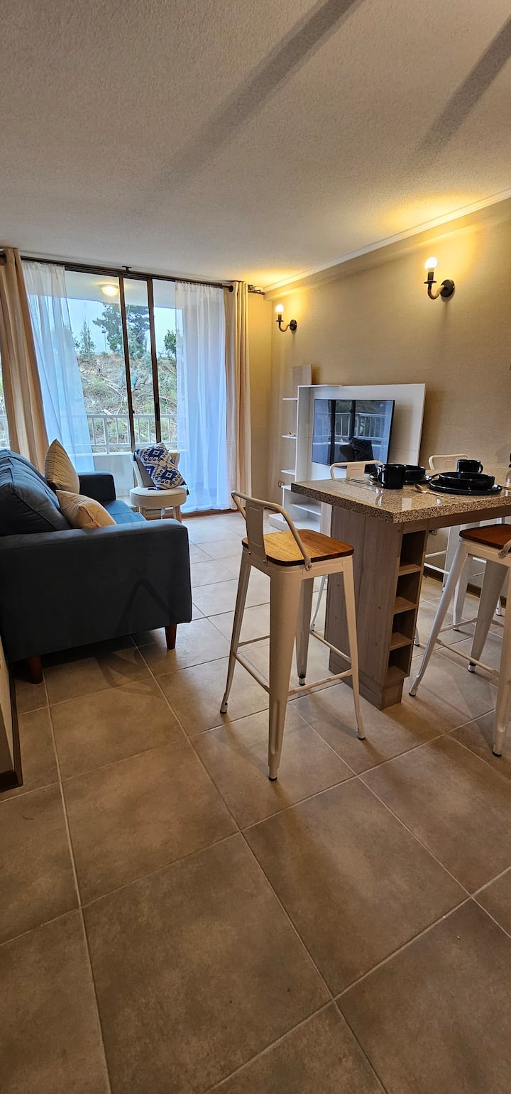 Departamento En Zona Tranquila - 발파라조