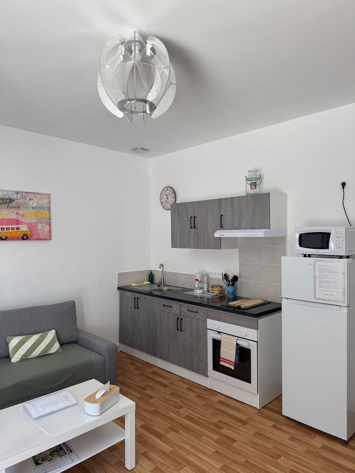 Les Cerisiers {Mb5}logement Lumineux Parking Privé - ibis Dole Sud Choisey