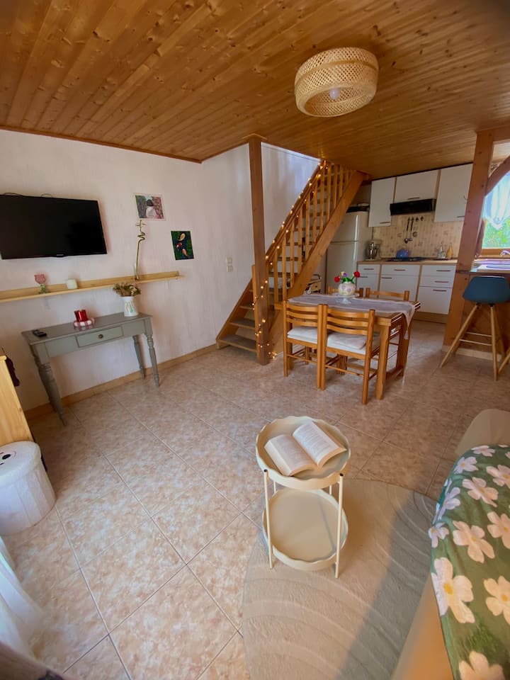 Maison Spacieuse Avec Terrasse - Fayence