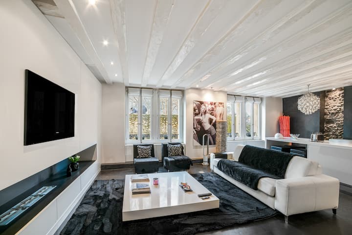 Sublime Appartement Au Centre-ville - Ginebra