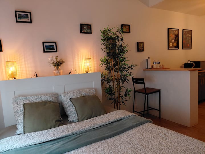 Mahaut : Studio Centre-ville - Reims