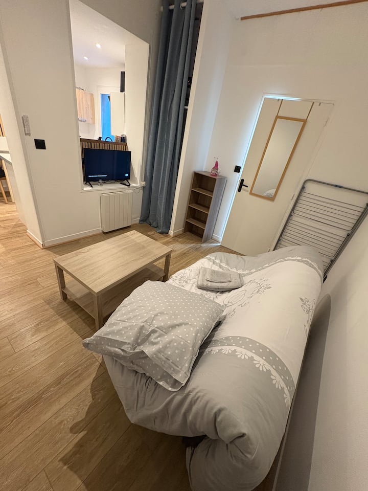 Les Allées Du Parc - Amiens