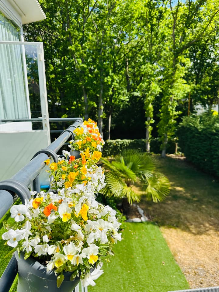 Villa Vista - The Hague