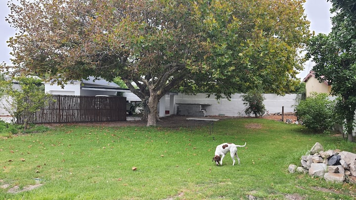 Lazyways - Hermanus
