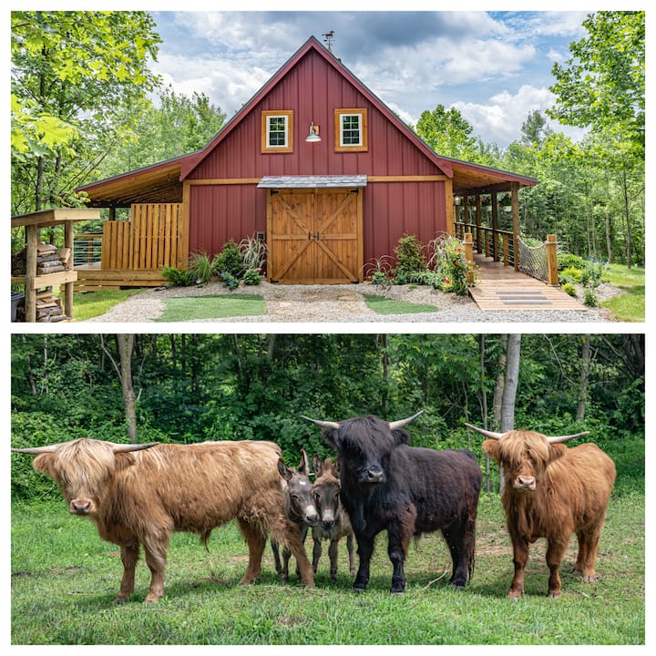 Rustic Stable Cabin: Highland Cow Farm With Trails - Hocking Hills State Park, OH