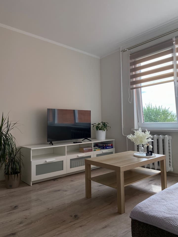 Cozy Hideaway - Riga Airport (RIX)