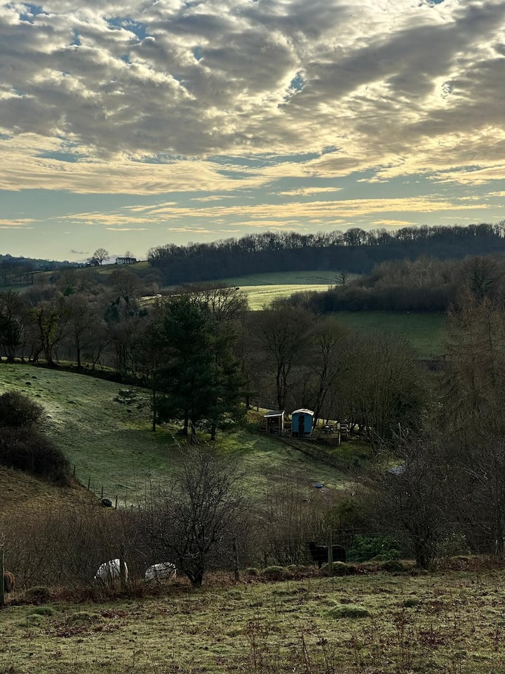 Unique. Peaceful & Enchanting. - Forest of Dean