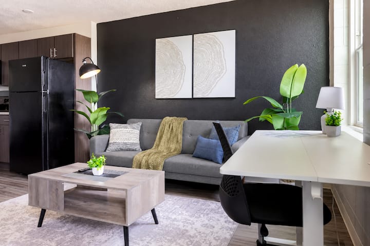 Modern Studio  5 Min To City, Sports, Uc, Medical - Cincinnati, OH