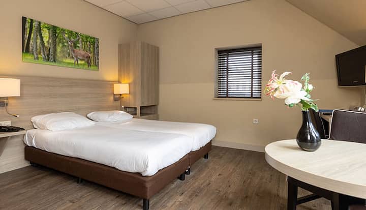 Relaxed Forest Setting Near Palaces And Theme Park - Apeldoorn