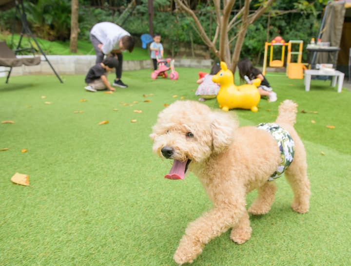 ペットOk/北九州/最大6名/家族旅行/子連れ歓迎/無料ｐ/bbq焚き火/広い庭/jr折尾駅無料送迎 - Kitakyushu