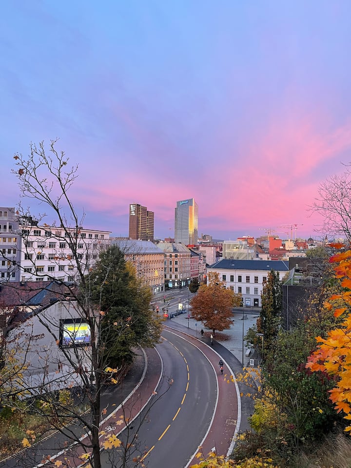 Urbant Hjem På Tøyen - Oslo