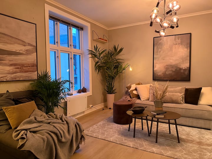 57sqm Apartment Oslo Center Central Location - Oslo