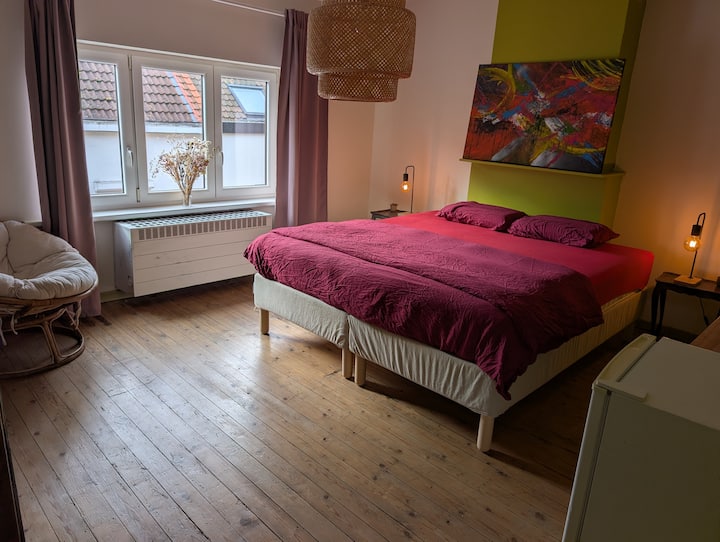 Charming Rooms Near City Center! - Gand