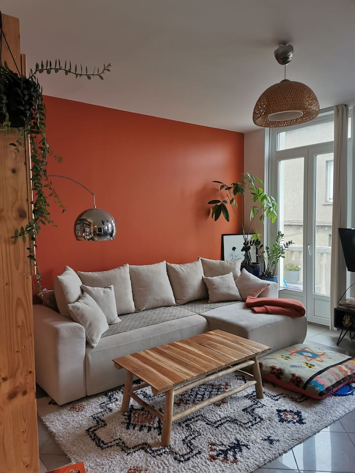 Appartement Lumineux - Villeurbanne