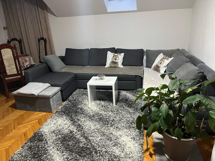 Apartman 1 - Belgrado