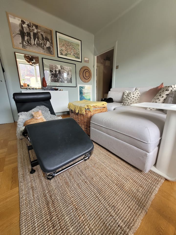 Cosy, Calm And Central Apartment - Uppsala