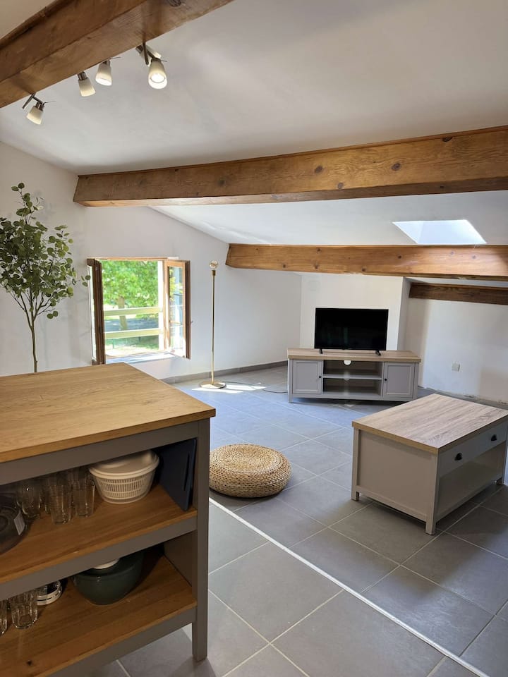 Appartement Mansardé - Pierrelatte