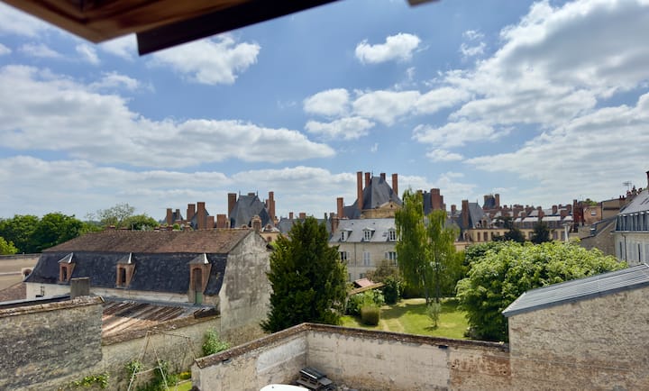 Château - Parking - Centre & Climatisation - Fontainebleau