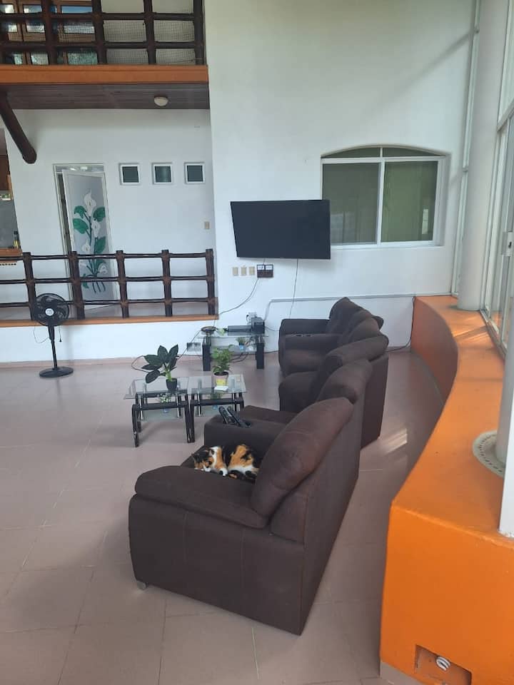 Jardines - Zihuatanejo